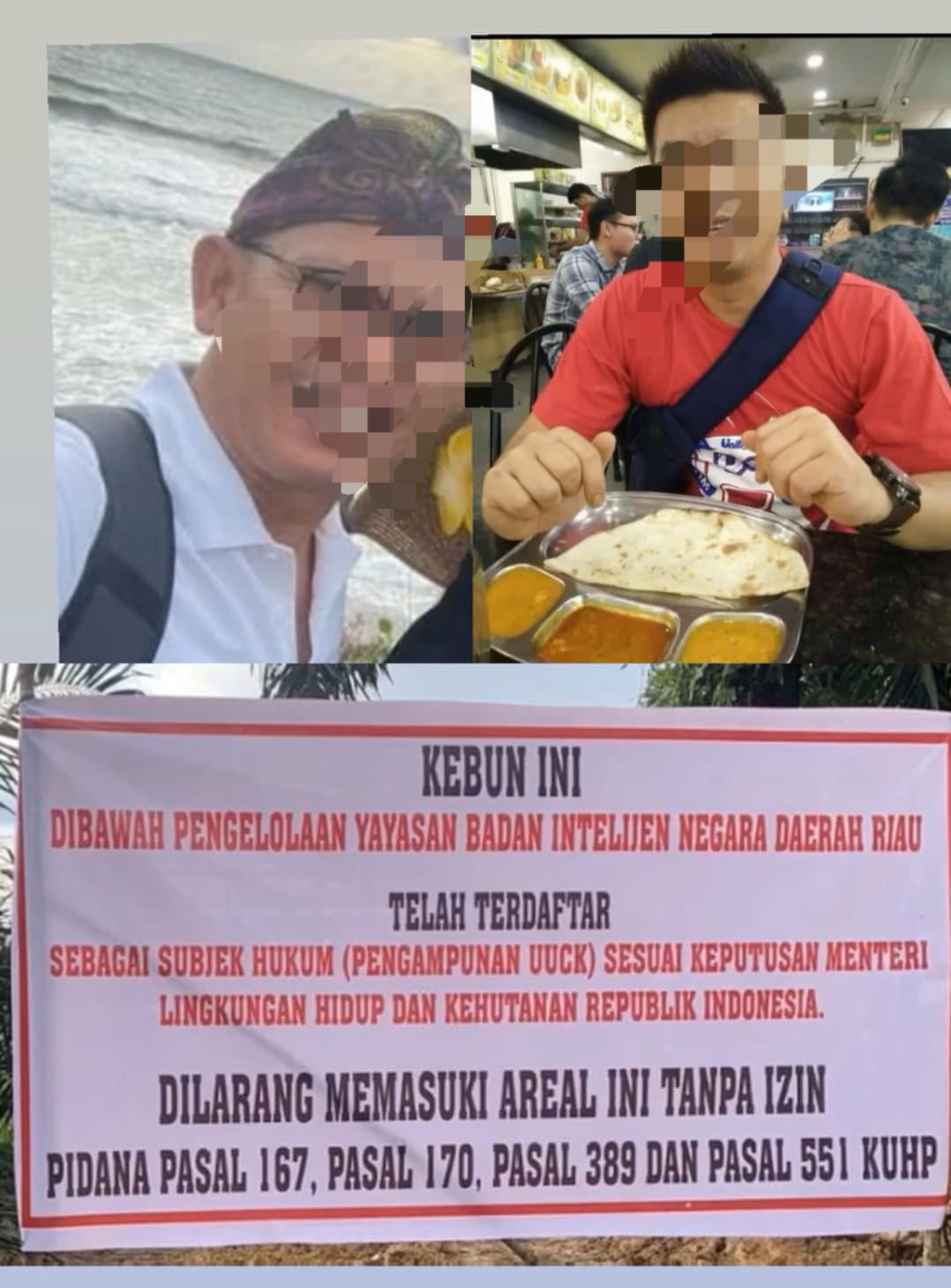 Kebun Kelapa Sawit yang Berada dalam Kawasan HTI milik PT. NSR ini ...